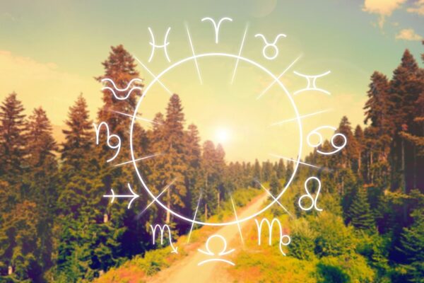 Zodiacul arboricol îți dezvăluie personalitatea ascunsă. Ce copac te ...